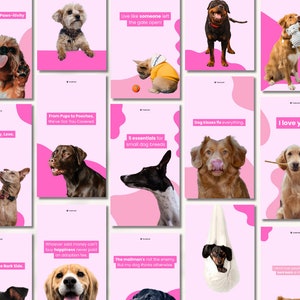 Engaging Dog Instagram Story Template | Dog Grooming Shop Promotion ...