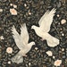 Seamless Nature Patterns, Wild Birds, Mourning Doves 2, Digital Paper ...