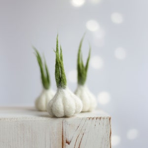 Needle Felted Garlic Set of Three, Easter Ornament, Summer Table Decor ...