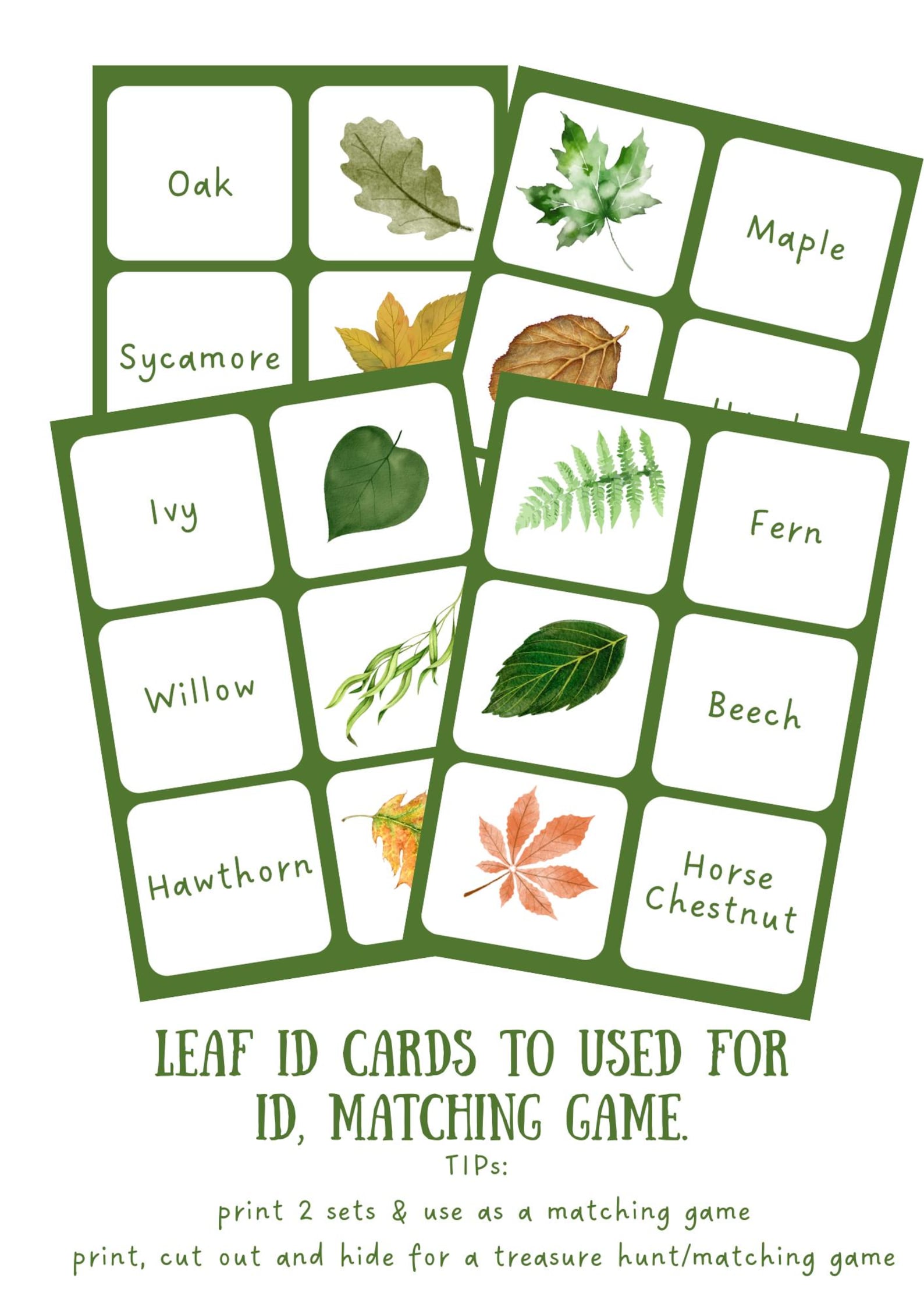 Leaf Identification Pack – Printable Tree ID Cards | Nature Study for ...