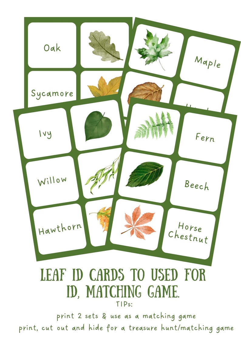 Leaf Identification Pack – Printable Tree ID Cards | Nature Study for ...