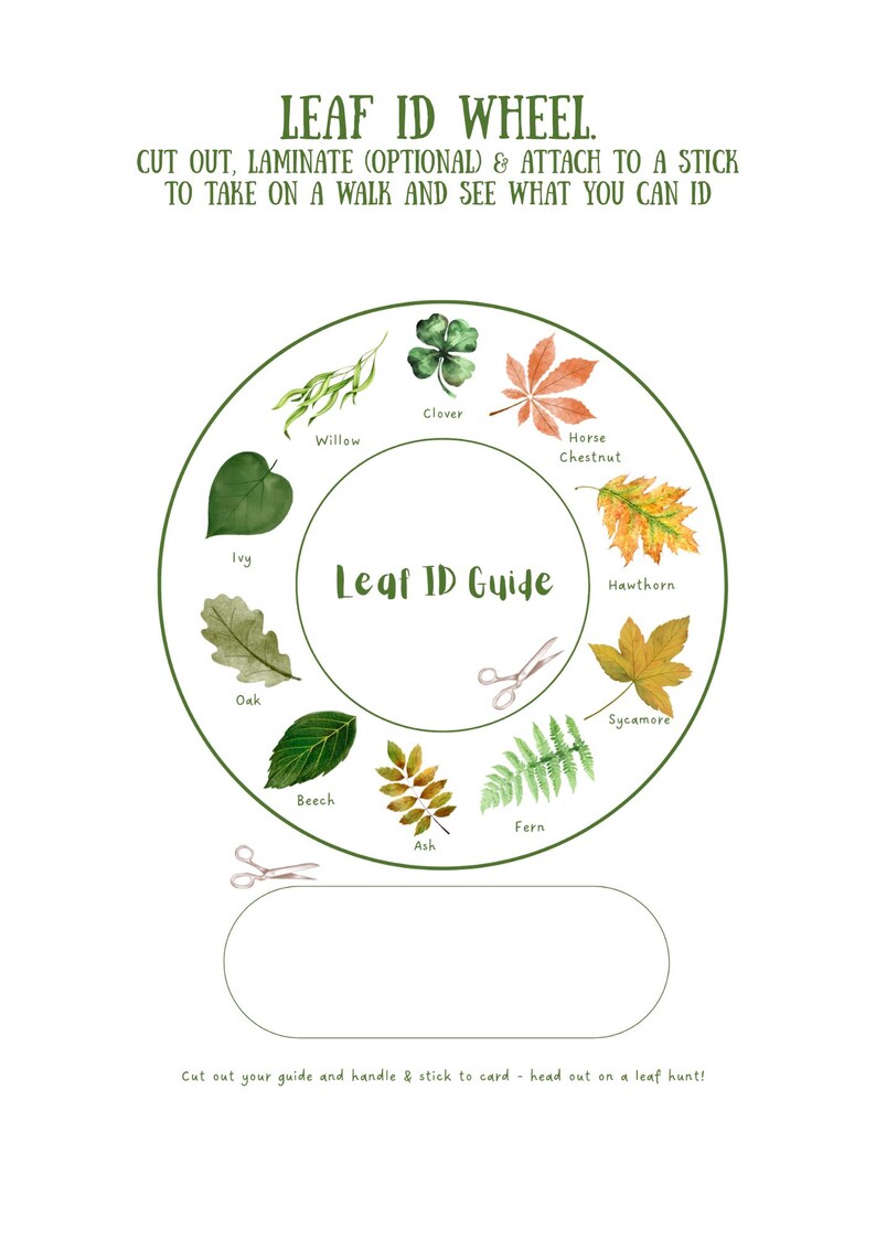 Leaf Identification Pack – Printable Tree ID Cards | Nature Study for ...