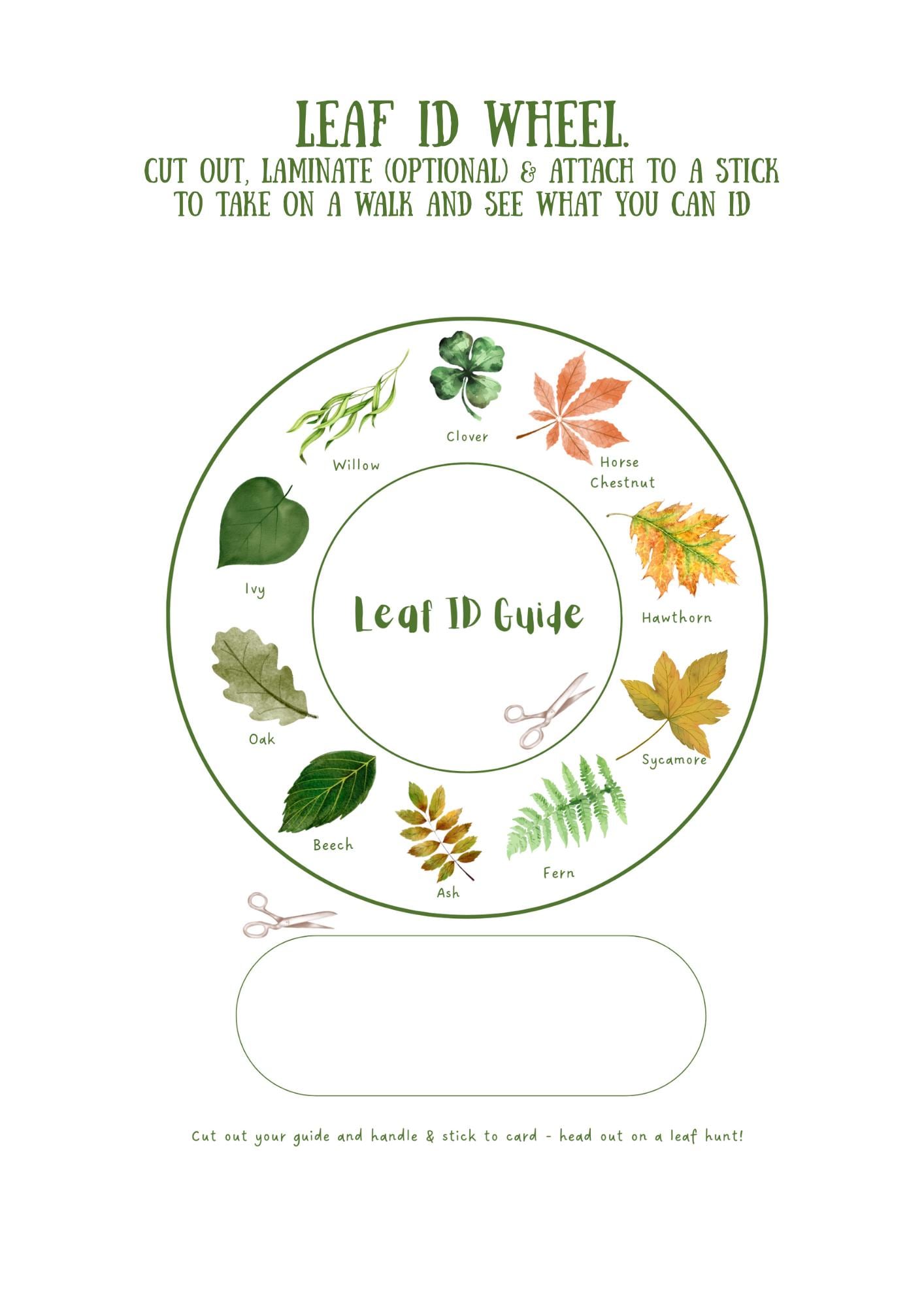 Leaf Identification Pack – Printable Tree ID Cards | Nature Study for ...