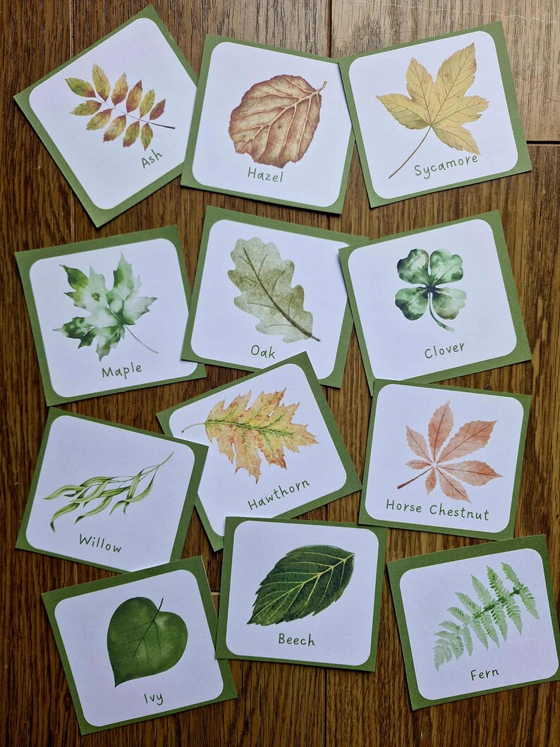 Leaf Identification Pack – Printable Tree ID Cards | Nature Study for ...