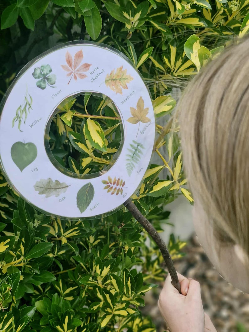 Leaf Identification Pack – Printable Tree ID Cards | Nature Study for ...