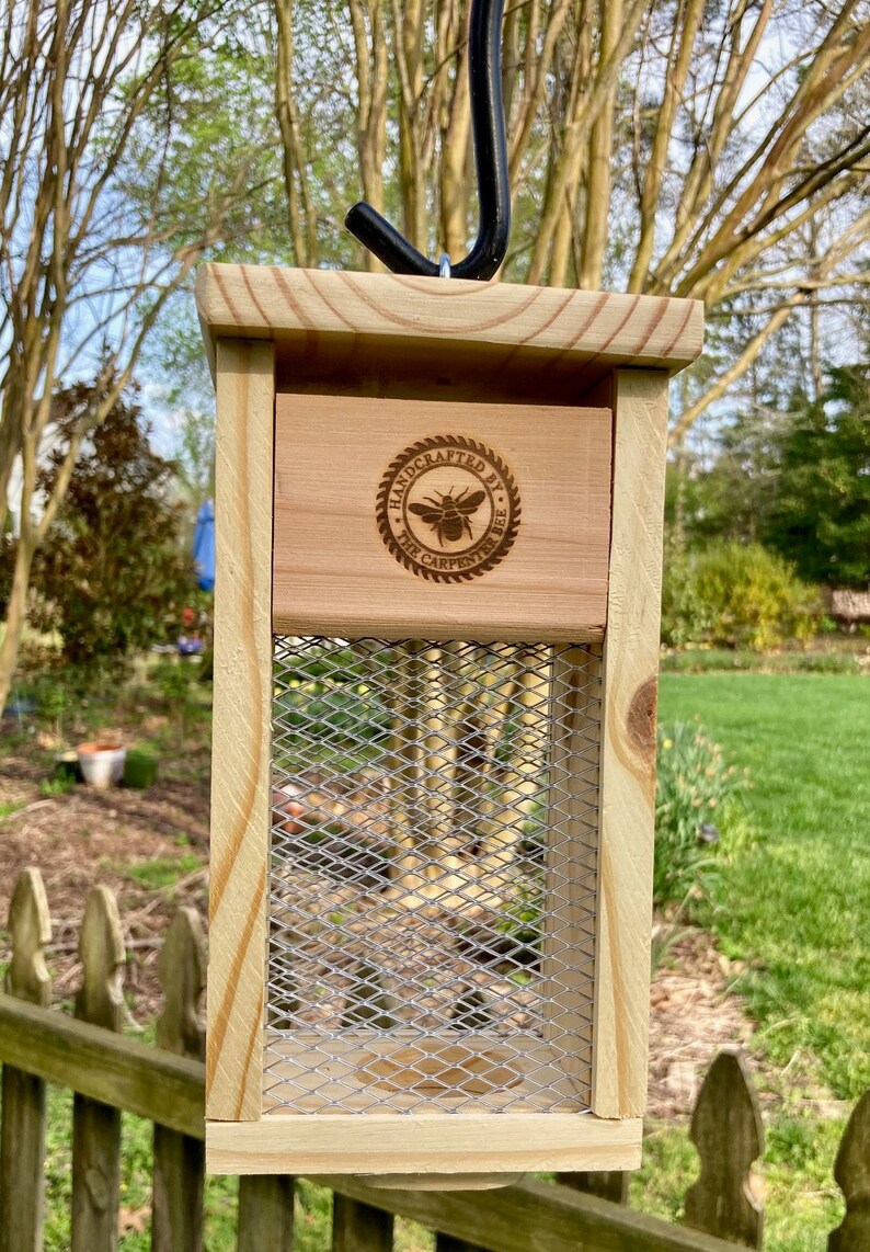 Carpenter Bee Traps - Etsy