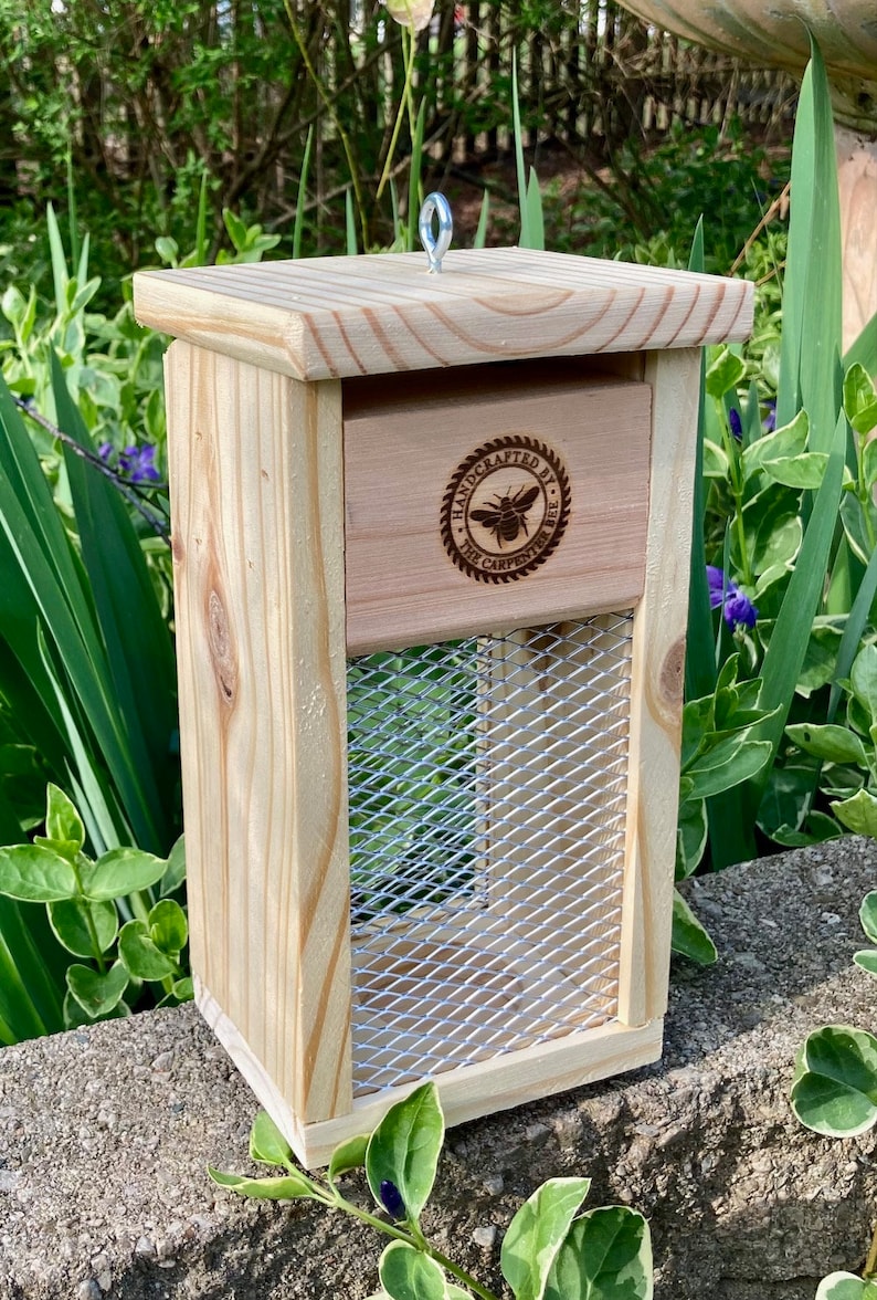 Carpenter Bee Traps - Etsy Carpenter Bee Traps - Etsy