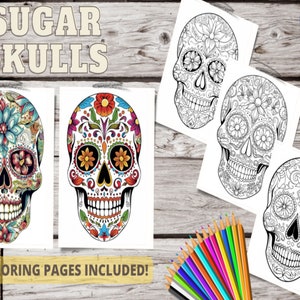 Coloring Book for Adults & Kids to Explore Your Creative Side - 25 ...
