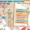 Dental Health Printable Activity for Kids, Tooth Anatomy, Montessori ...