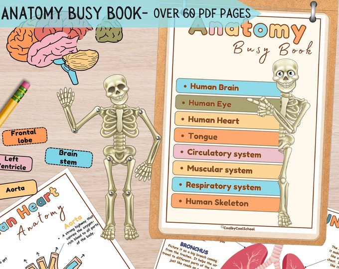 5 Senses, Human Body Anatomy Busy Book Science School Resources Anatomy ...