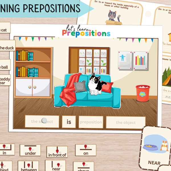 Frog Unit Study Kids, Frogs Amphibian Life Cycle & Anatomy Learning ...