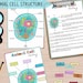 Animal Cell Structure Diagram Biology Lesson for Kids, Science Unit ...