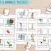 Bug Matching Puzzle Printable, Bugs Worksheets for Toddler, Insects ...