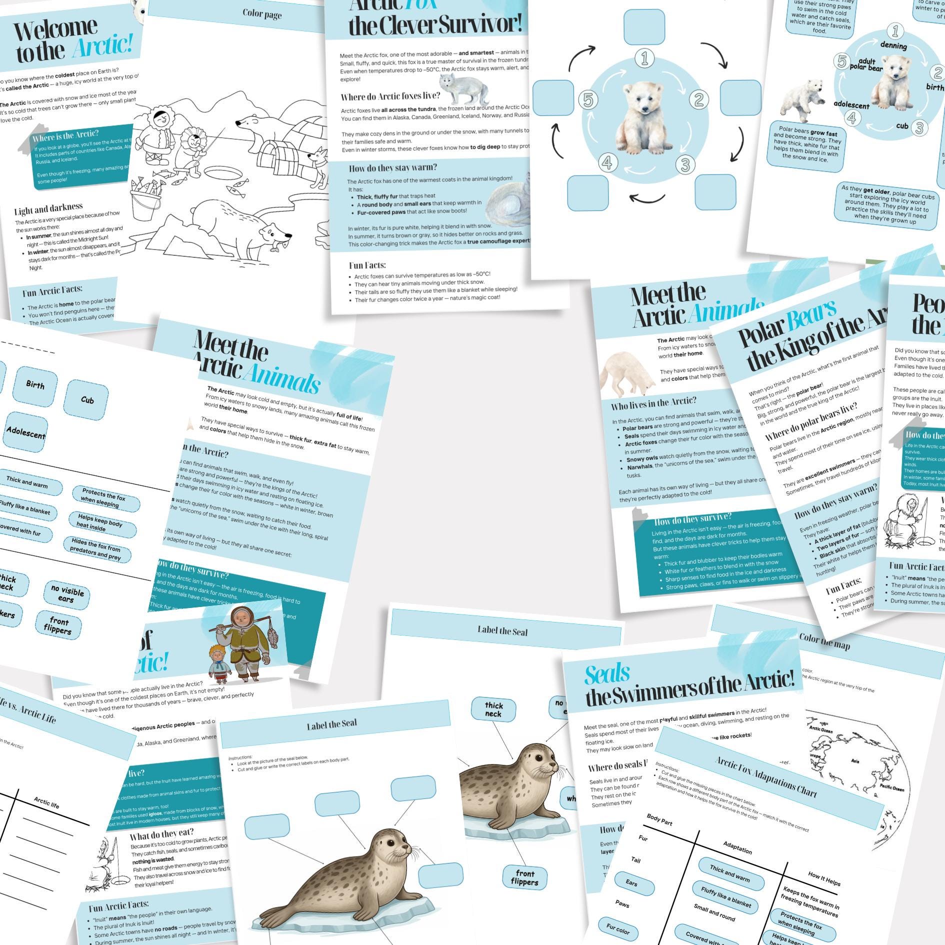 Arctic Animals Unit Study for Kids | Winter Science & Geography ...