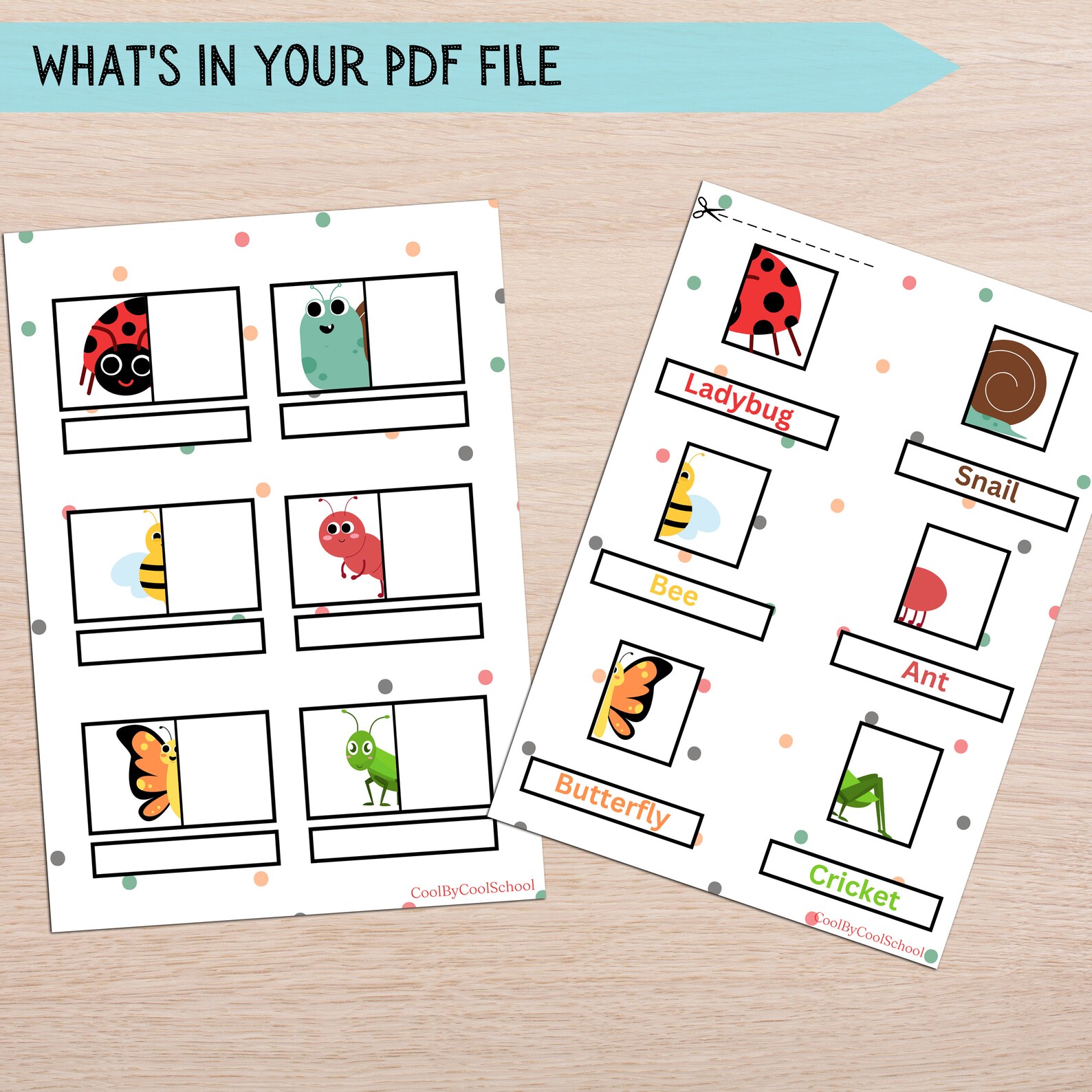 Bug Matching Puzzle Printable, Bugs Worksheets for Toddler, Insects ...