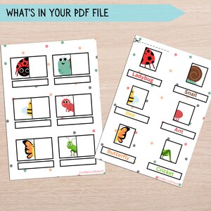 Bug Matching Puzzle Printable, Bugs Worksheets for Toddler, Insects ...