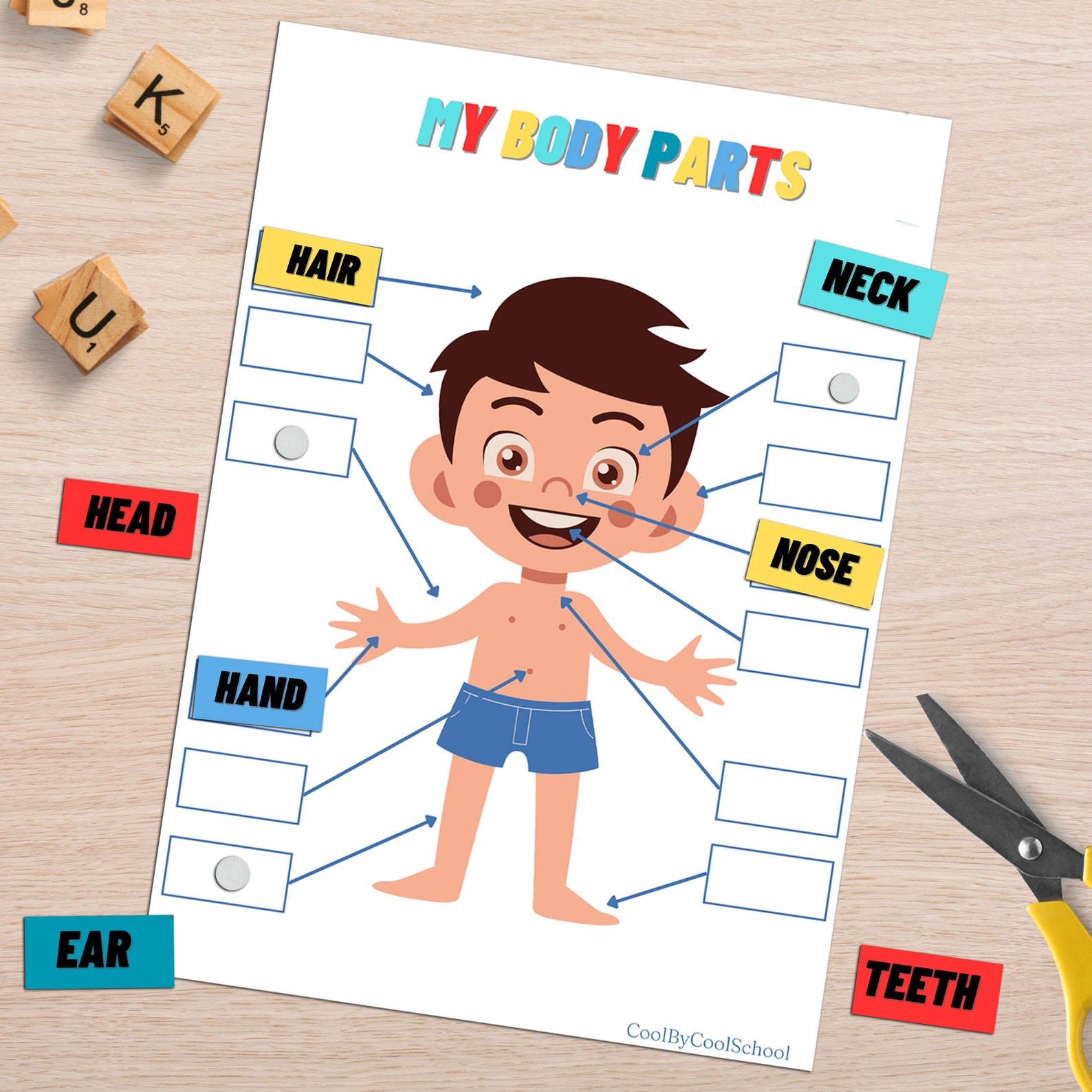 Body Parts Printable Activity, My Body Flash Cards for Toddlers ...