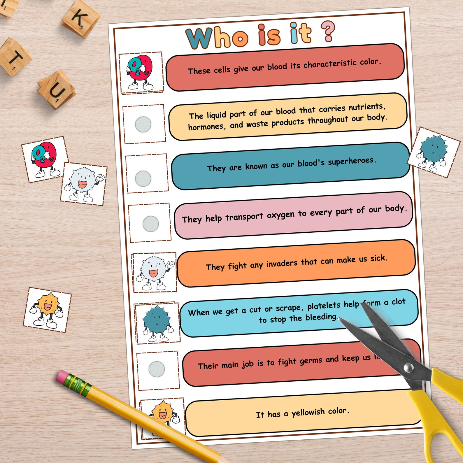Circulatory System Activity, Blood Types & Compatibility Lesson, My ...