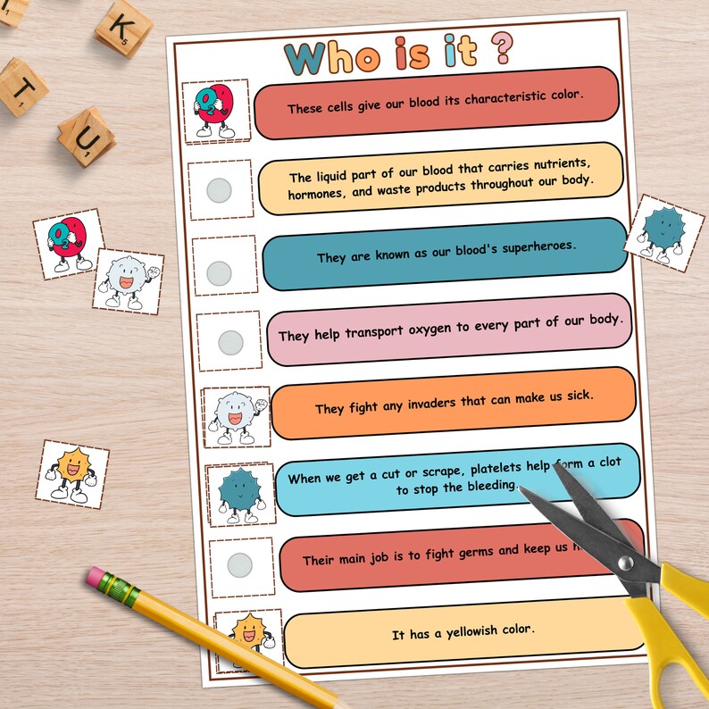 Circulatory System Activity, Blood Types & Compatibility Lesson, My ...