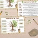 Tree Unit Study for Kids, Anatomy of a Tree & Trunk, Nature Study ...