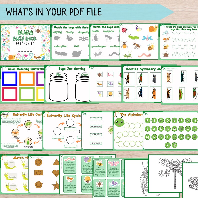 Bugs Busy Book Kids, Insects Flaschards Fun Facts, Learning Binder ...