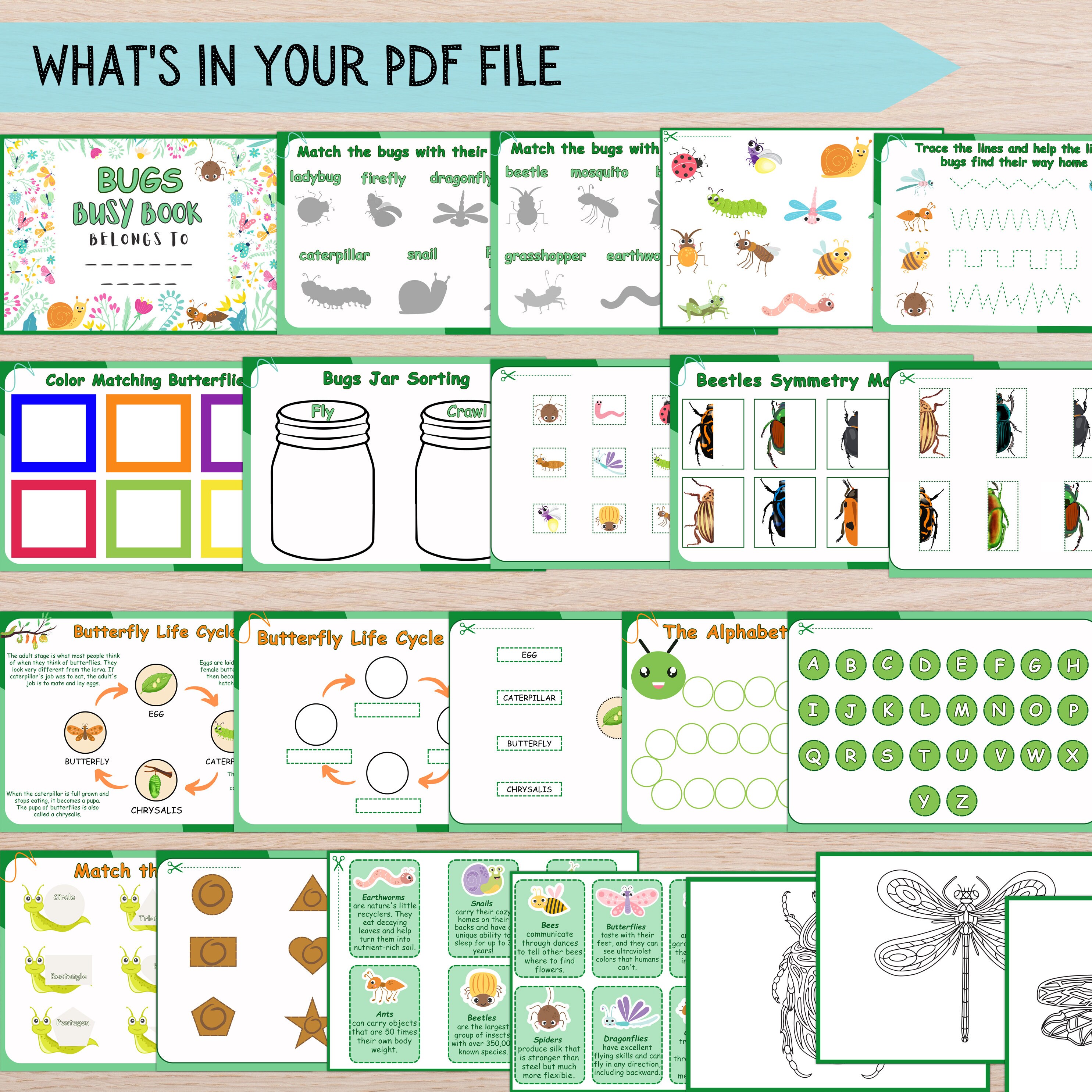 Bugs Busy Book Kids, Insects Flaschards Fun Facts, Learning Binder ...