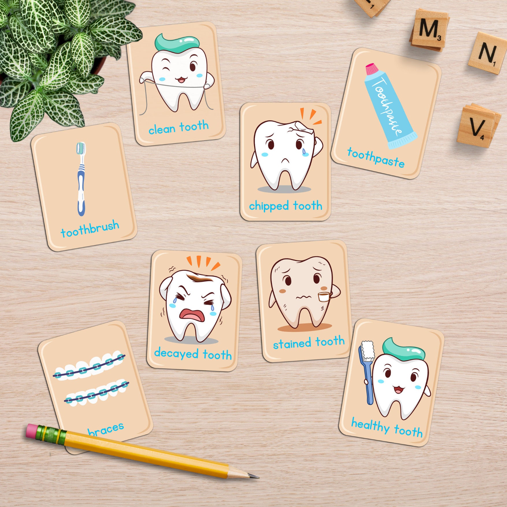 Dental Health Printable Activity for Kids, Tooth Anatomy, Montessori ...