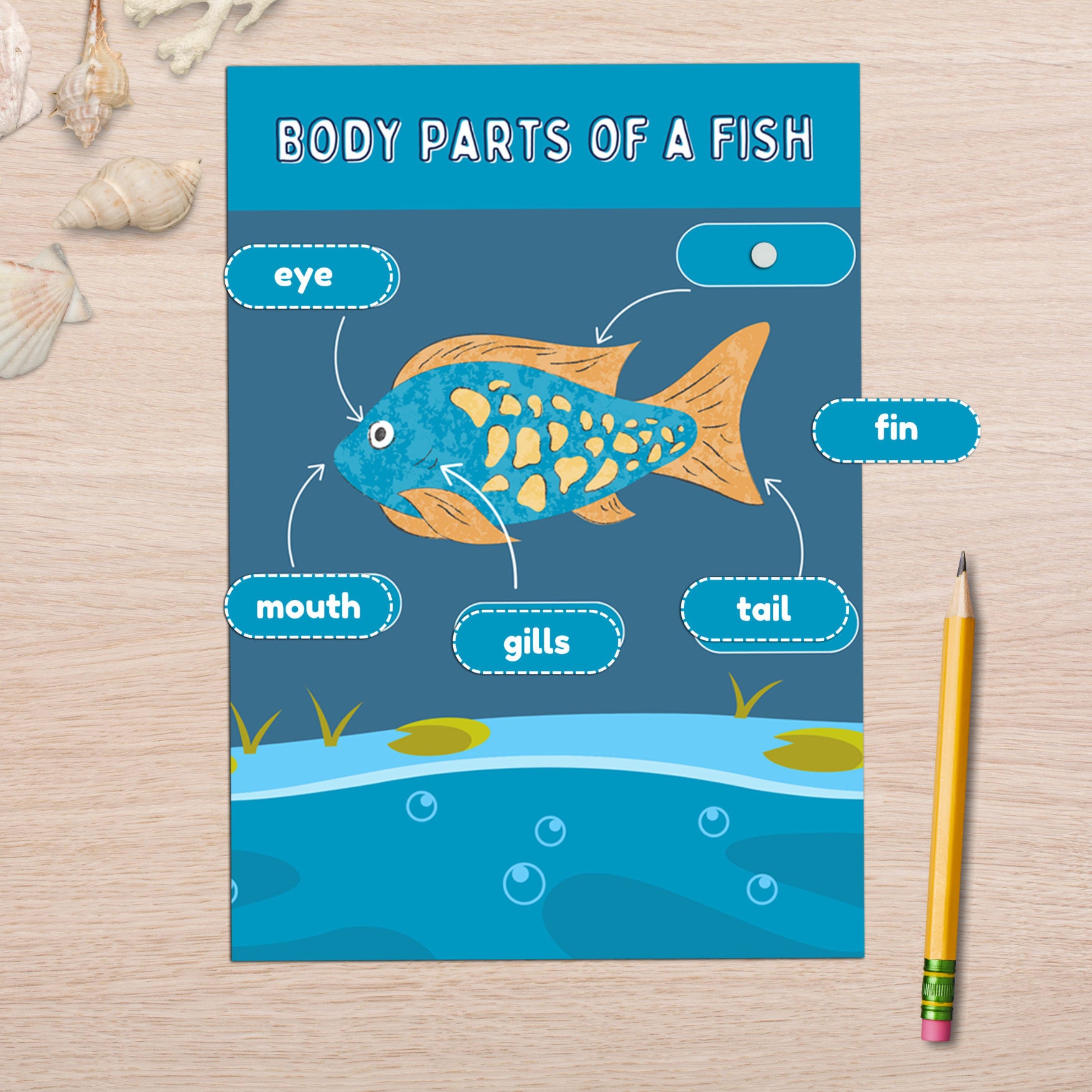 Ocean Animals Activity & Flashcards, Under the Sea Worksheets for Kids ...