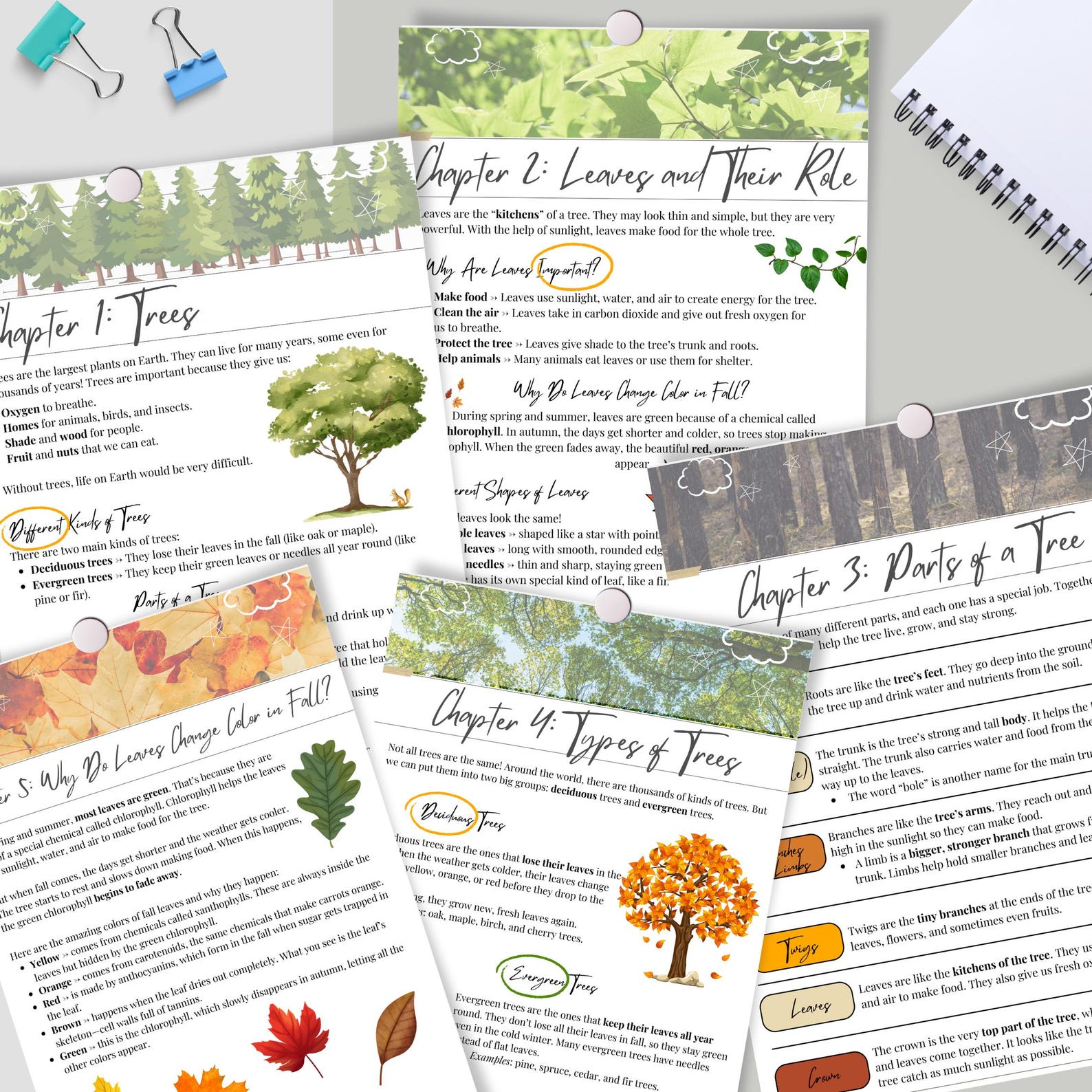 Trees and Leaves Unit Study for Kids | Fall Homeschool Printable ...