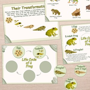 Frog Unit Study Kids, Frogs Amphibian Life Cycle & Anatomy Learning ...