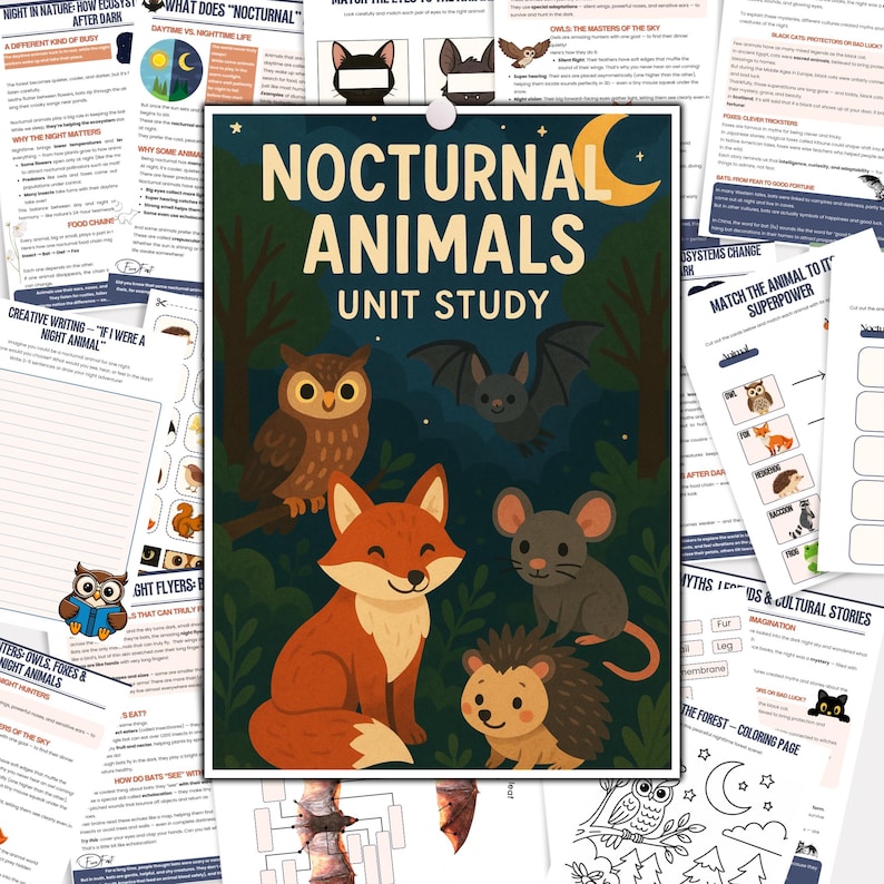 Nocturnal Animals Unit Study | Science & Literacy Activities ...