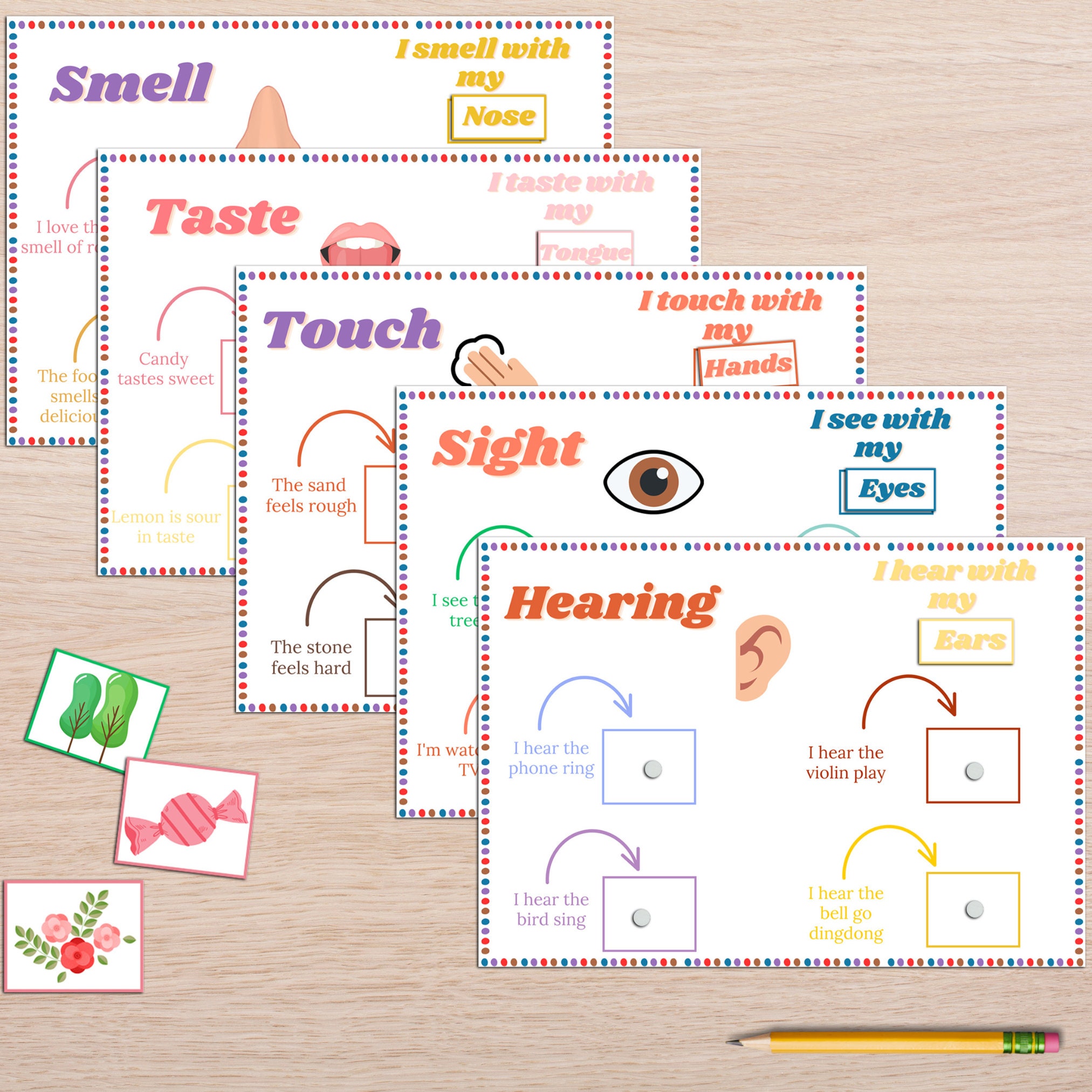 Five Senses Printable Learning, 5 Senses Sorting Activity, Preschool ...