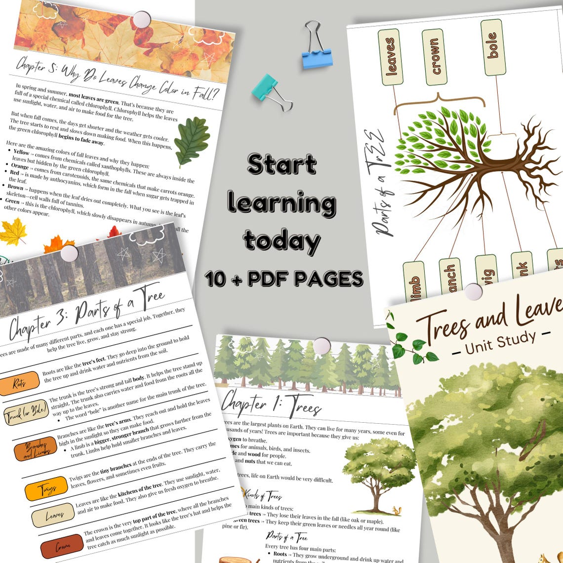 Trees and Leaves Unit Study for Kids | Fall Homeschool Printable ...