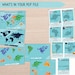 Continents Activity & Flashcards: Geography Learning, World Map ...