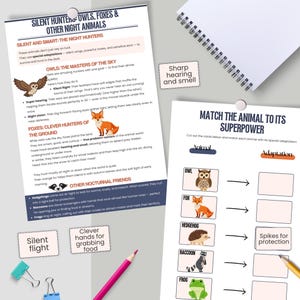 Nocturnal Animals Unit Study | Science & Literacy Activities ...