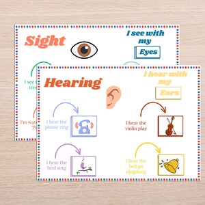 Five Senses Printable Learning, 5 Senses Sorting Activity, Preschool ...