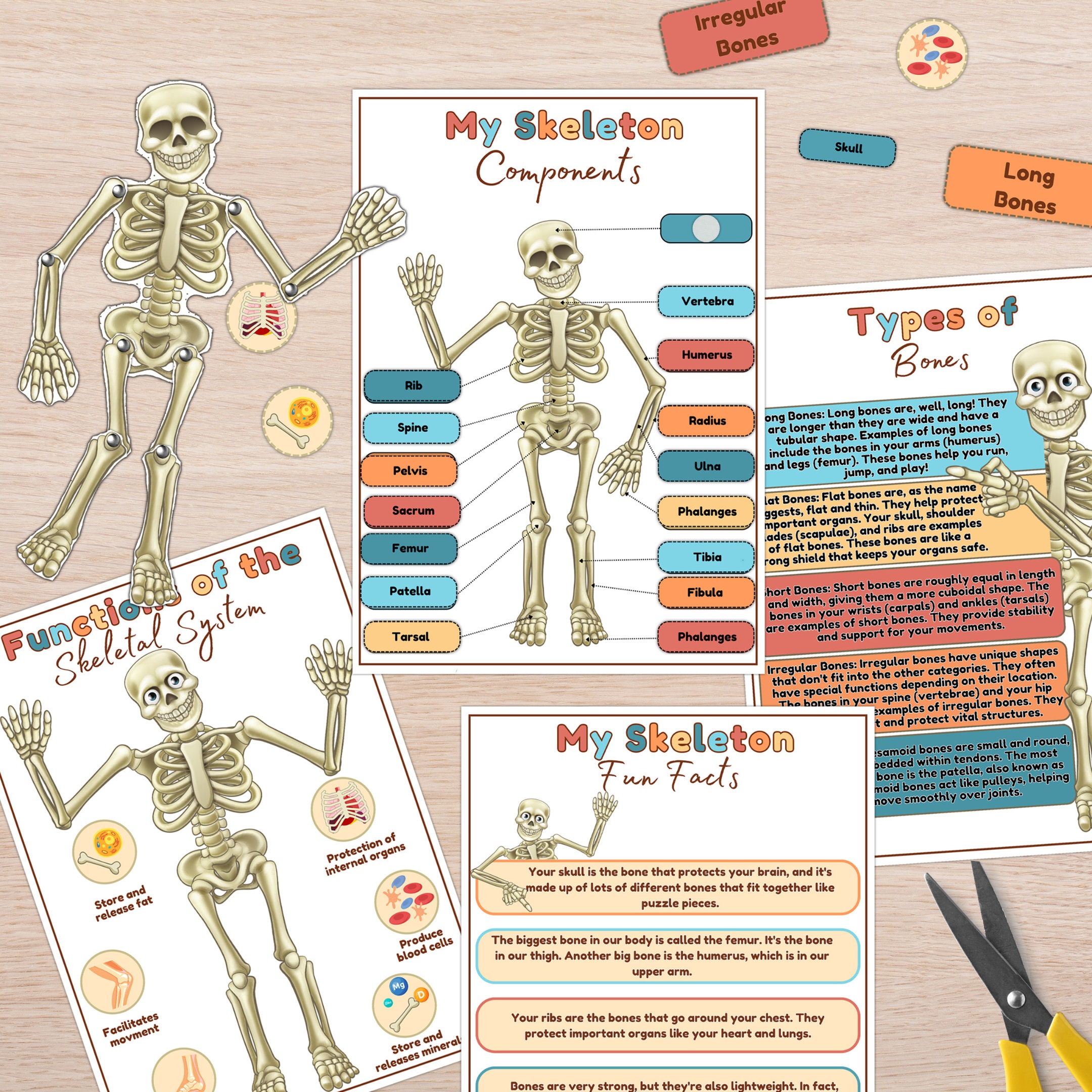 Anatomy Mega Bundle for Kids Interactive Anatomy Busy Book - Etsy