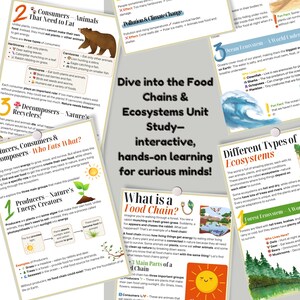 Food Chains and Ecosystems Unit Study, Cut & Paste Sorting Games ...