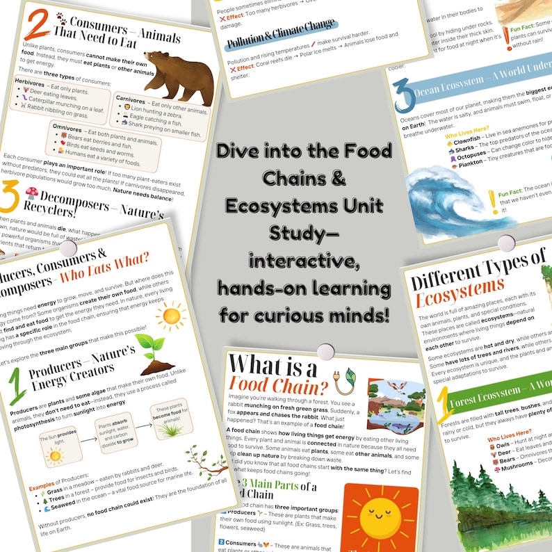 Food Chains & Ecosystems Unit Study: Homeschool Science (PDF) - Etsy