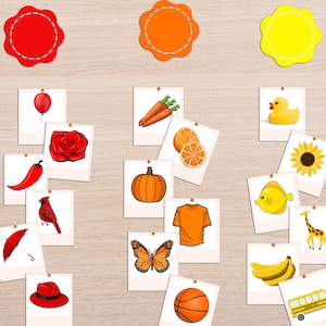 Printable Color Sorting Kid Activity, Cognitive Development Learning ...