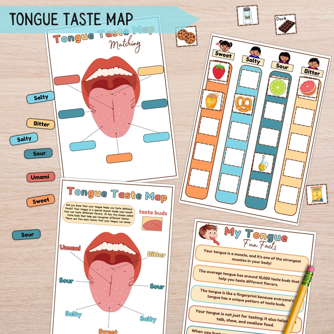 My Body Unit Study Toddler, Tongue Taste Buds for Kids, Anatomy Busy ...