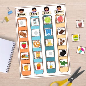 Tongue Taste Map Activity: Anatomy Learning Binder Pages (digital ...