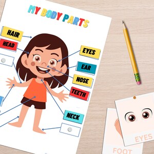 Body Parts Printable Activity, My Body Flash Cards for Toddlers ...