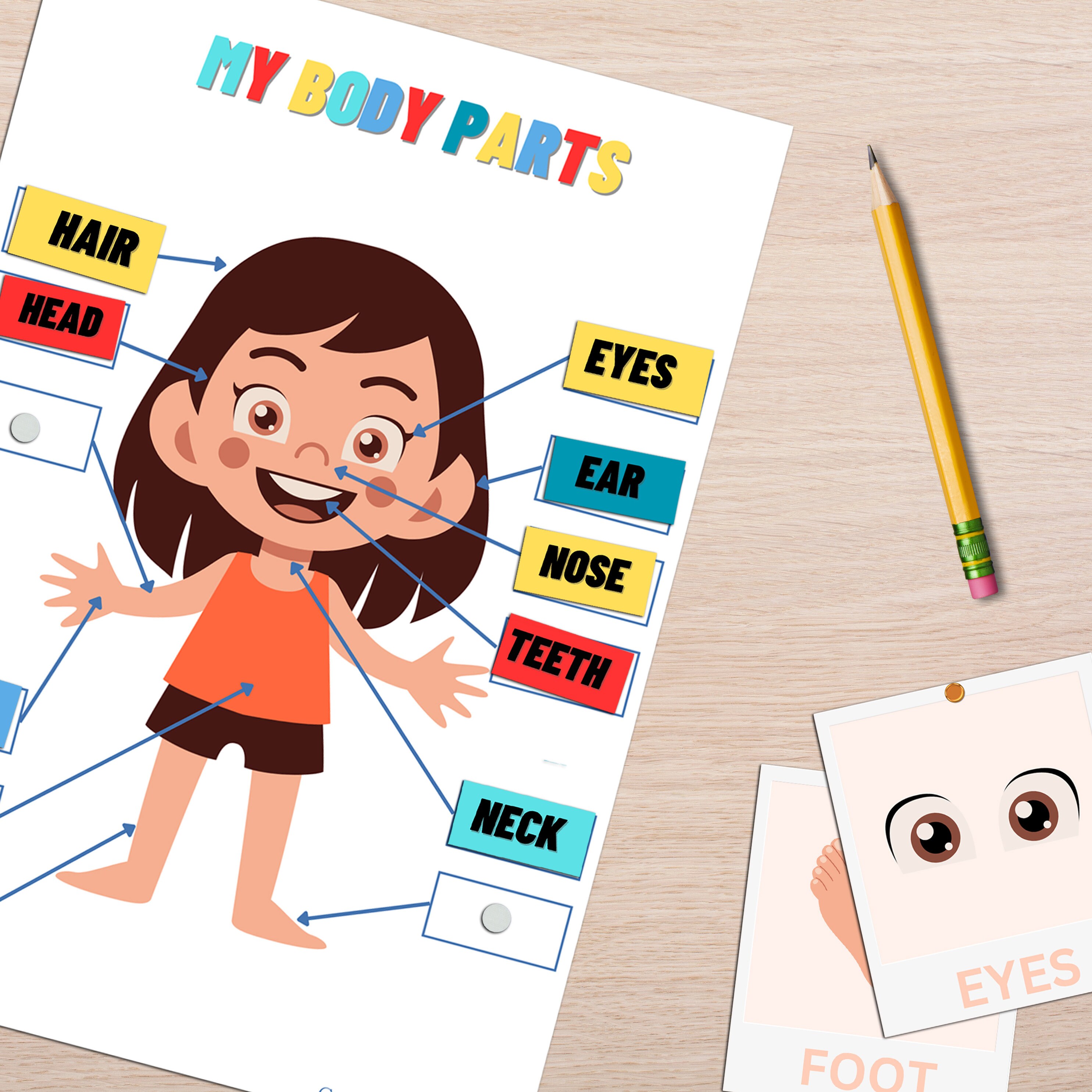 Body Parts Printable Activity, My Body Flash Cards for Toddlers ...