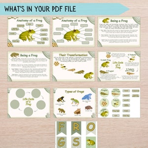 Frog Unit Study Kids, Frogs Amphibian Life Cycle & Anatomy Learning ...