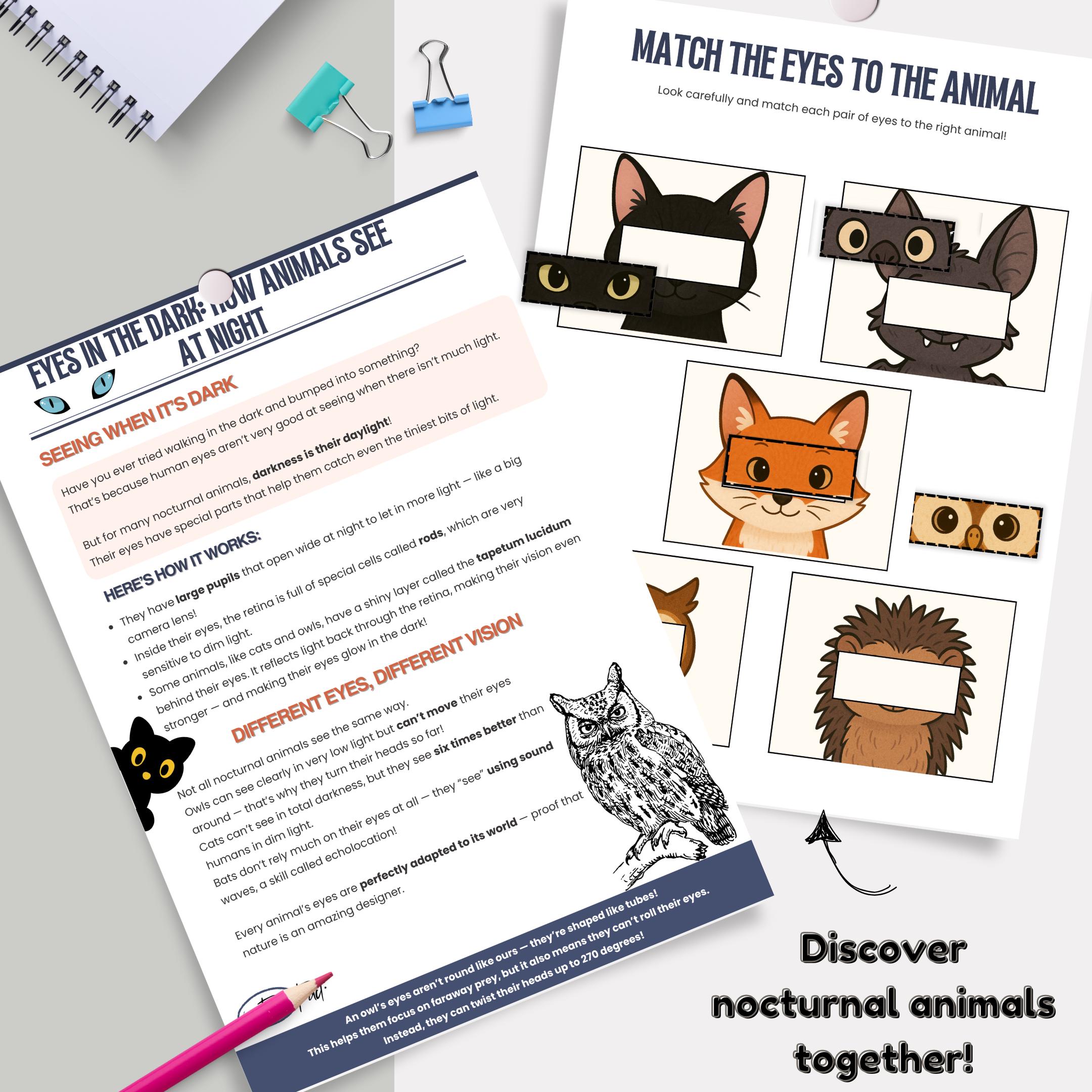 Nocturnal Animals Unit Study | Science & Literacy Activities ...
