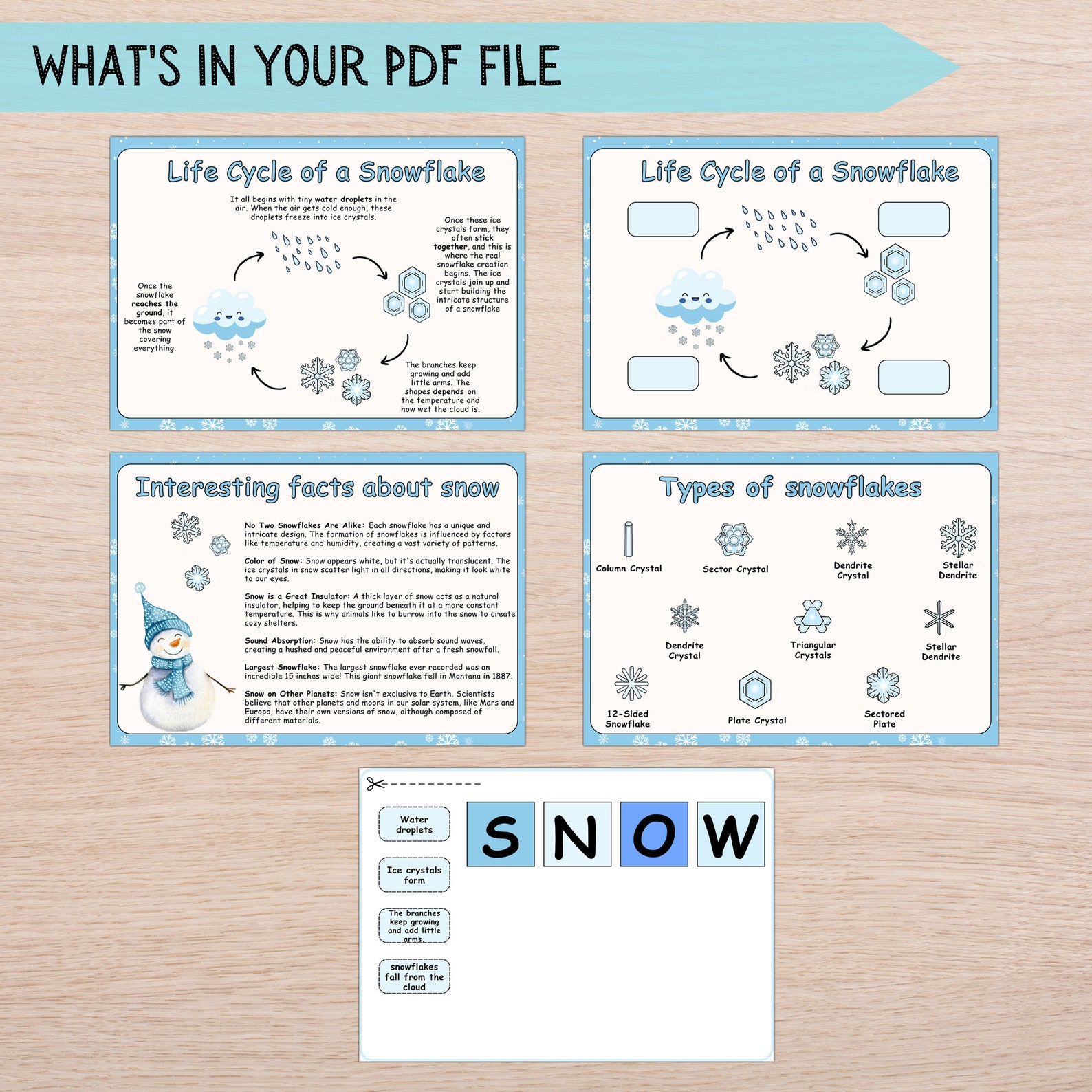 Snowflake Printable Winter Lesson Kids, Snow Unit Interactive Study ...