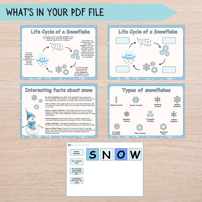 Snowflake Printable Winter Lesson Kids, Snow Unit Interactive Study ...