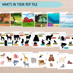 Animals Habitat Sorting Activity for Kids, Learning Animals for ...