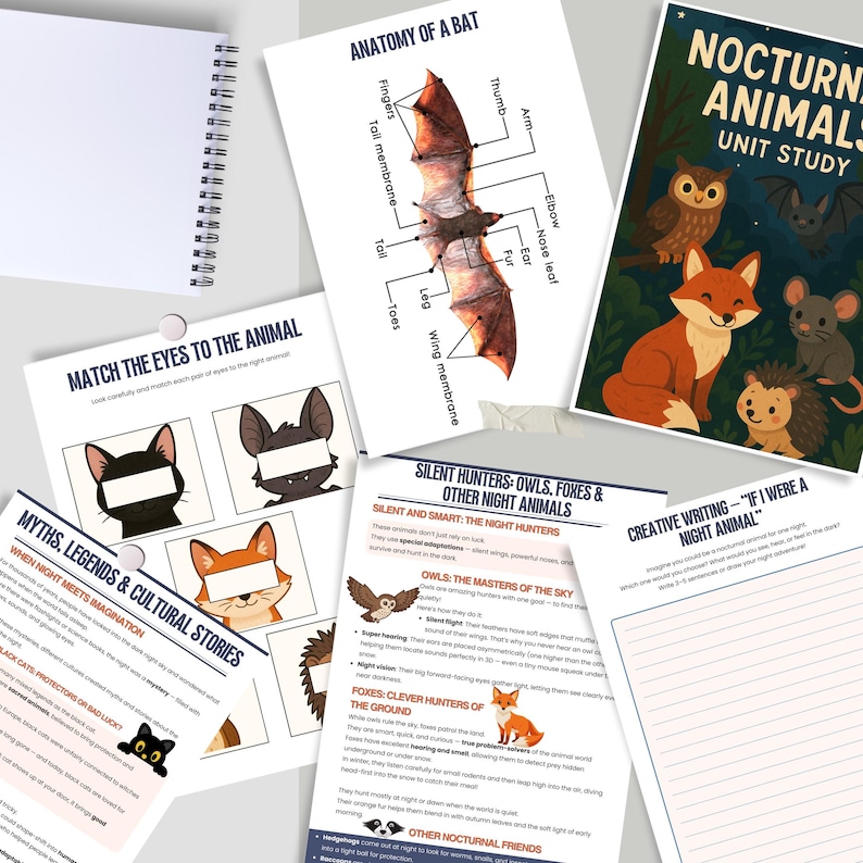 Nocturnal Animals Unit Study | Science & Literacy Activities ...